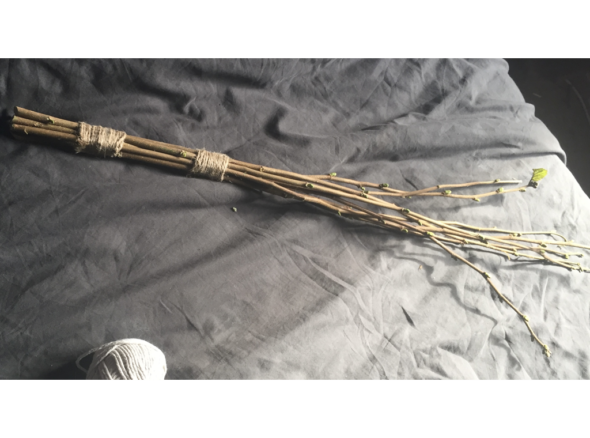 Sexy stories, mostly true | Girl on the Net